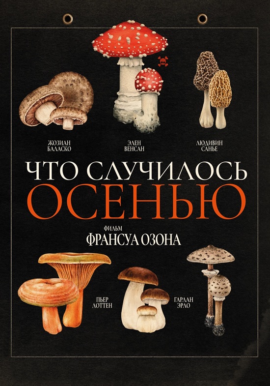 rutor.info :: Что случилось осенью / Quand vient l'automne / When Fall Is Coming (2024) BDRip ...