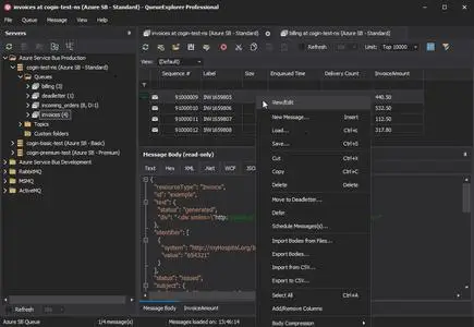 QueueExplorer Professional 5.0.65 » SCRiPTMAFiA.ORG | Download Full ...