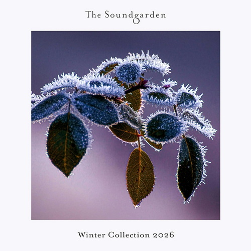 Winter Collection 2026 (2026) FLAC - House - Best Dj Mix