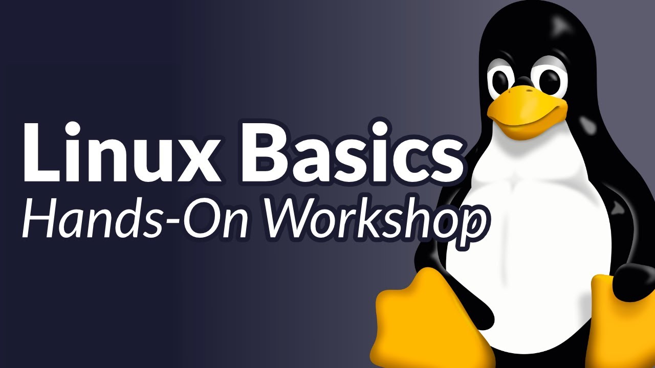 Learn Linux Commands: Hands-On From Lesson One » SCRiPTMAFiA.ORG ...